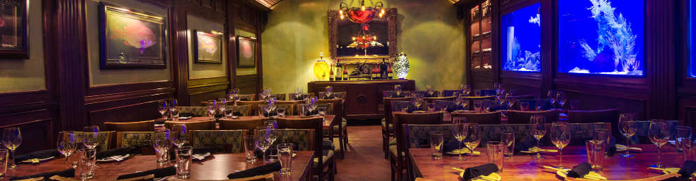 On a Roll with Sushi in Orlando - OTL City Guides & Seat Fillers